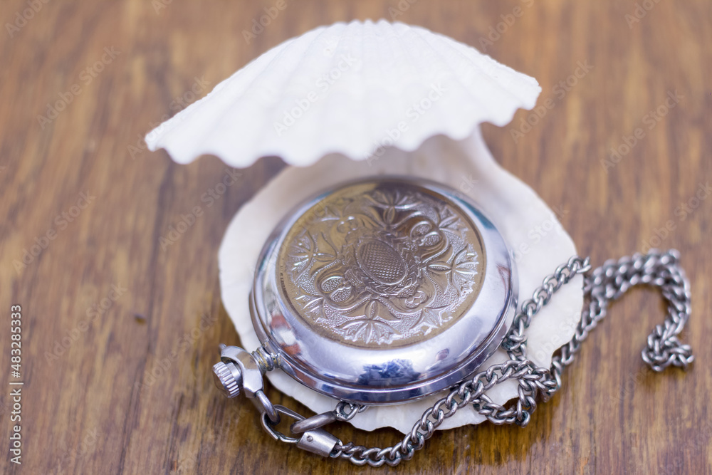 PocketPocket watch in an open scallop shell. watch in an open scallop ...