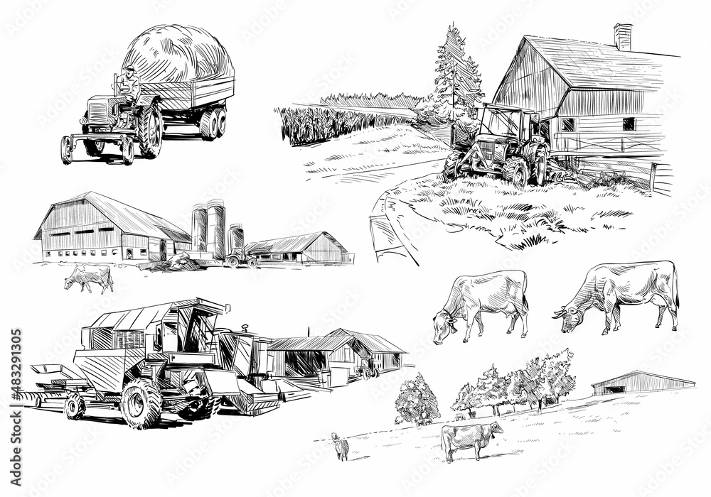 Farm sketch vector illustration.Hand drawn rural landscape. Stock ...