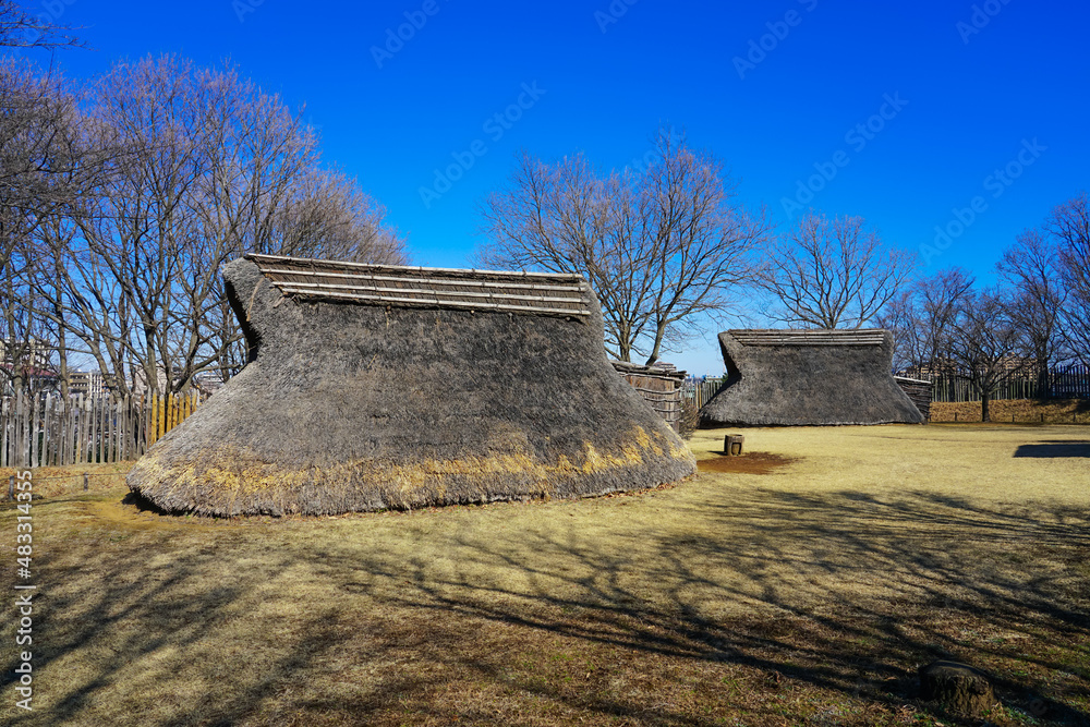 弥生時代の竪穴式住居 大塚歳勝土遺跡公園（神奈川県横浜市,港北ニュータウン） Stock Photo | Adobe Stock