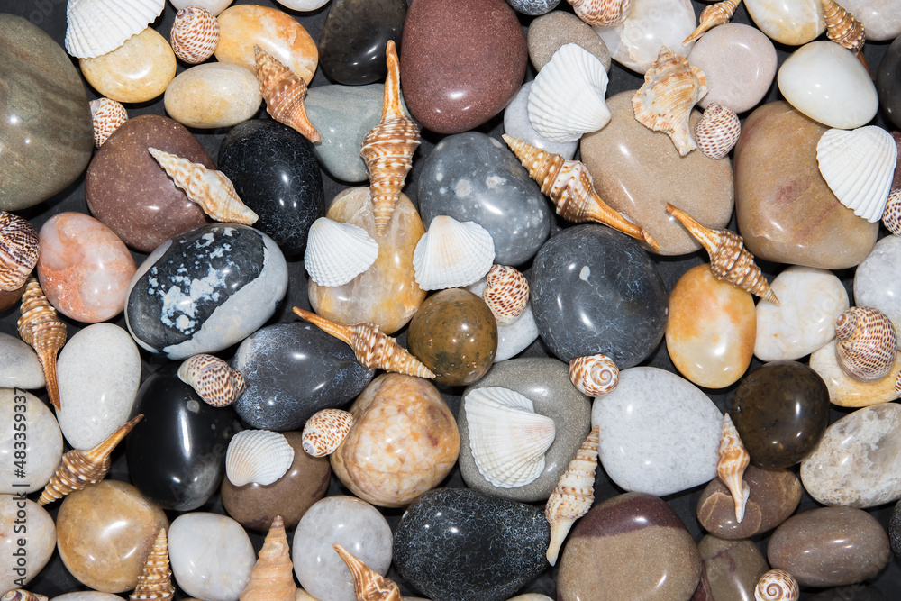 Beach pebble rocks and seashells. Nature backgound image. Pretty beach ...