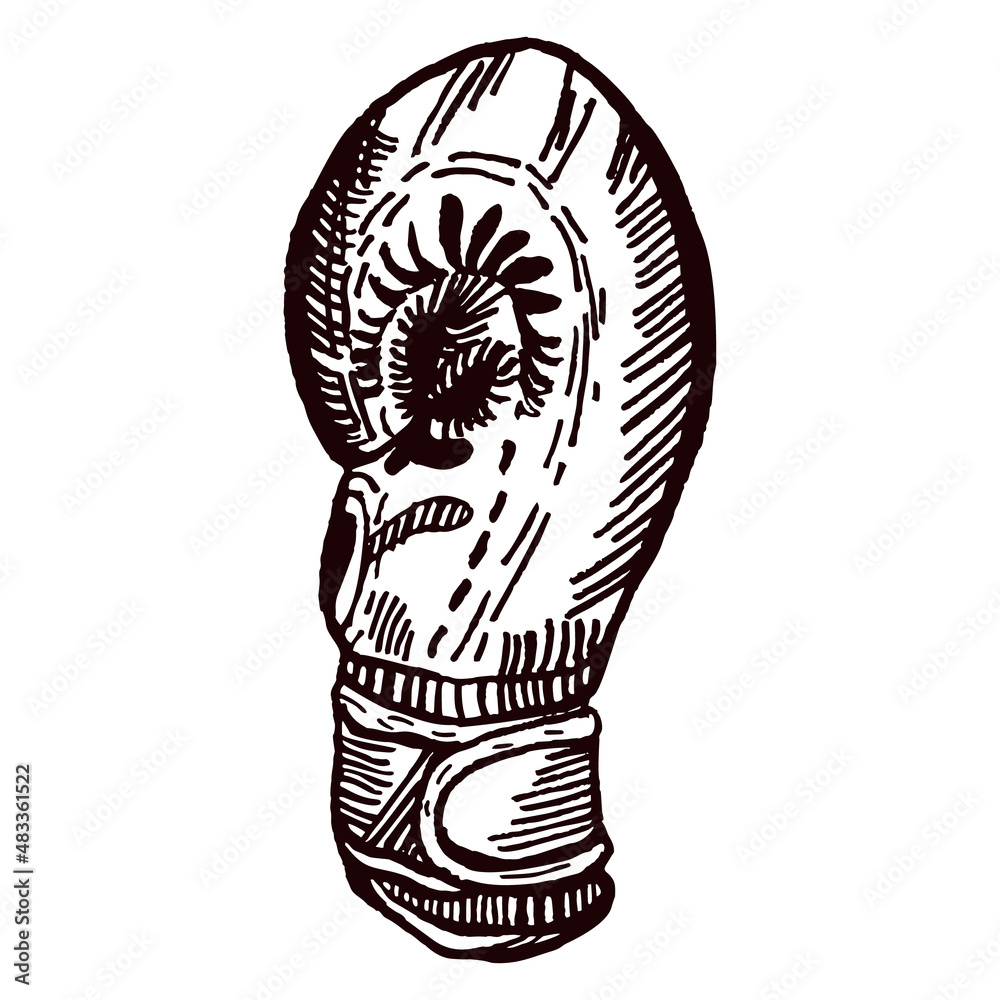 Boxing gloves side sketch isolated. Sporting equipment for boxing in ...