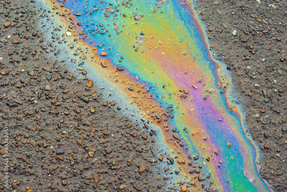 Oil stains on wet asphalt. Puddles are contaminated with multicolored ...