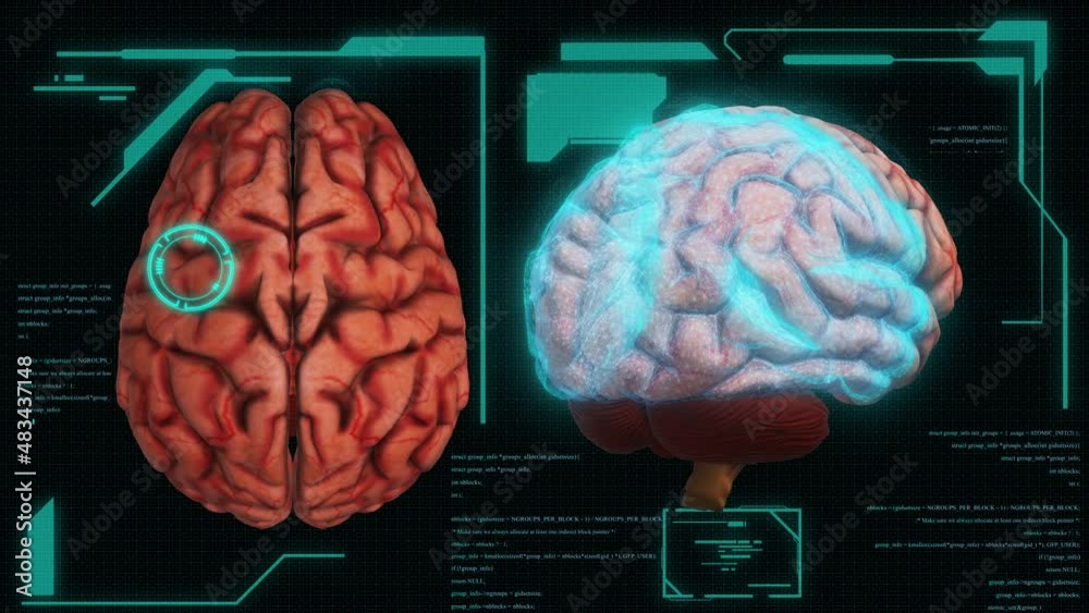 Digital Brain Scan HUD Screen Animation. HUD animation brain scan of futuristic display top of ...