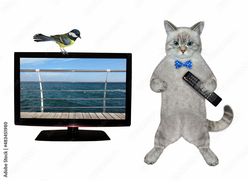 An ashen cat in a bow tie with a tv remote control is near a television ...