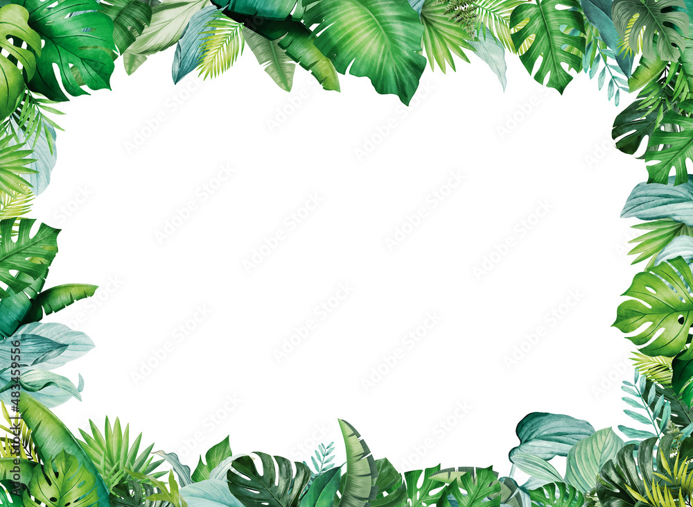 Green rain forest leaves border frame design Stock Illustration | Adobe ...
