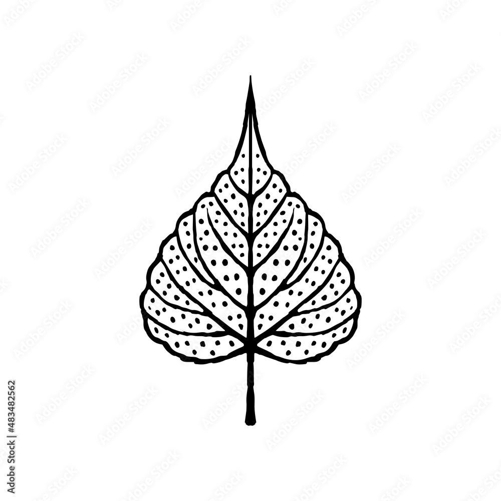 Hand drawn leaf of bodhi Stock Vector | Adobe Stock