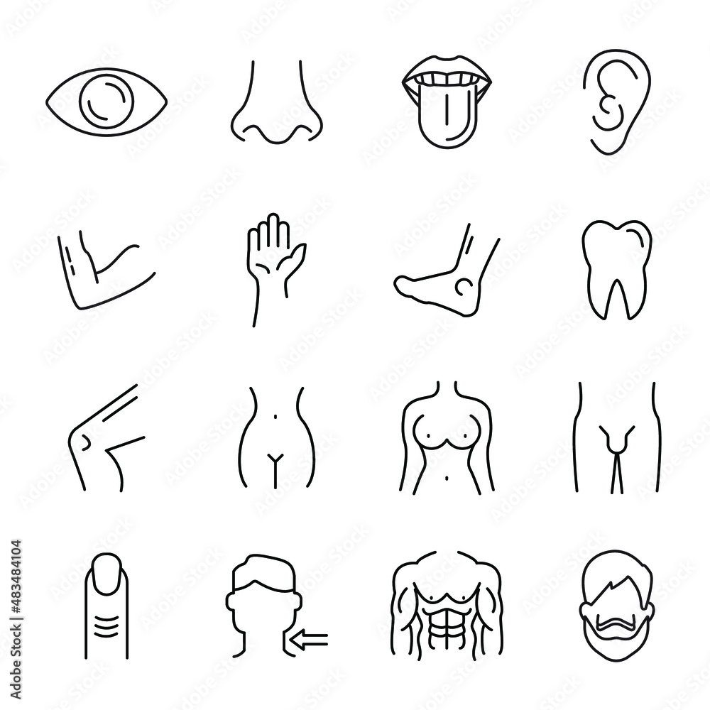 Human Anatomy icons set . Human Anatomy pack symbol vector elements for ...