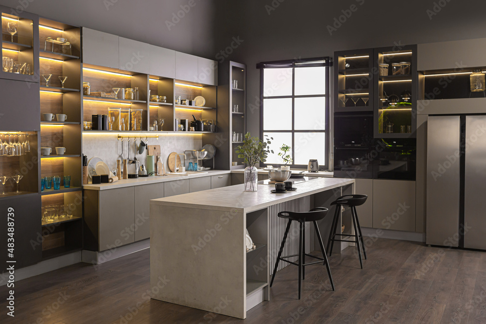 Ultra Modern Kitchens