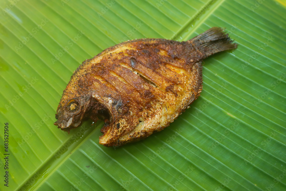 Karimeen fry kerala style fish fry Stock Photo | Adobe Stock