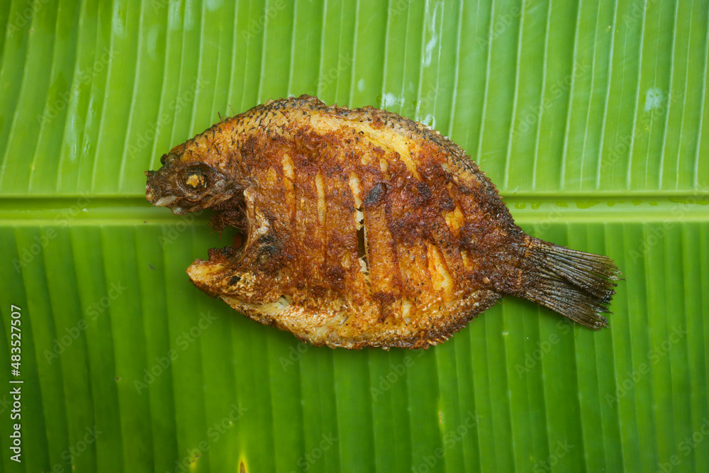 Karimeen fry kerala style fish fry Stock Photo | Adobe Stock