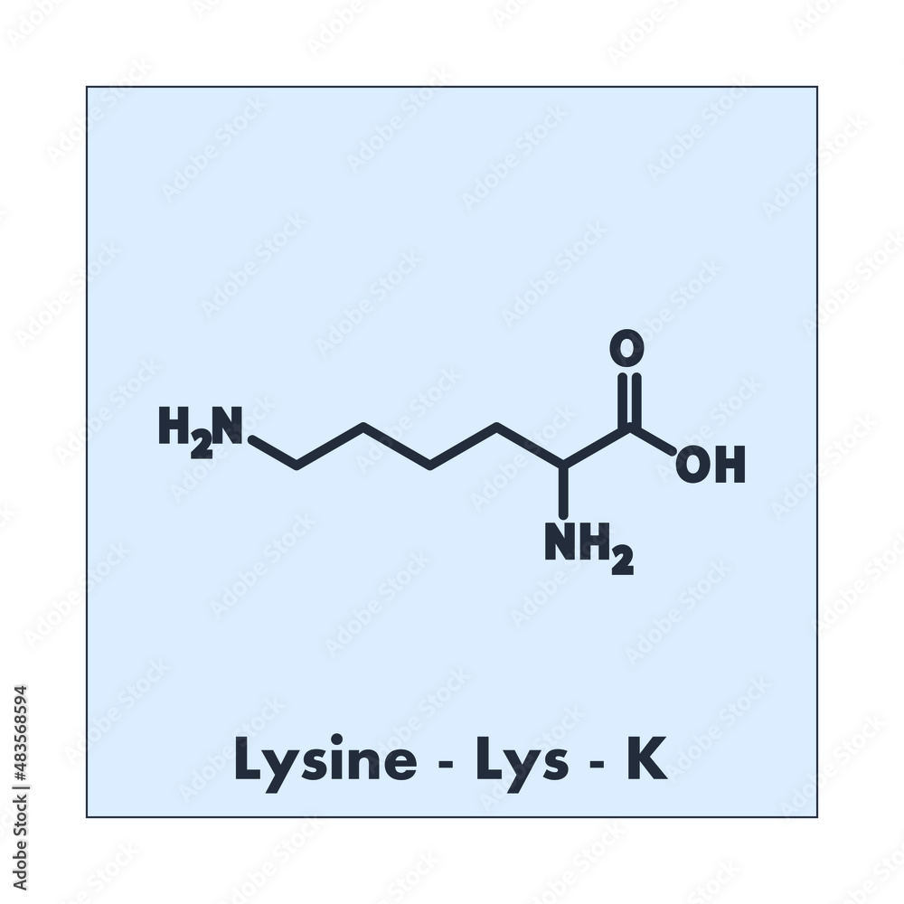 Lysine - Lys - K - Essential Amino Acid molecular formula, flat ...