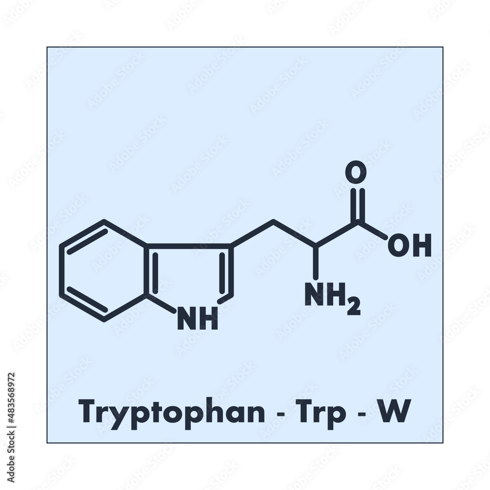 Tryptophan - Trp - W - Essential Amino Acid molecular formula, flat ...