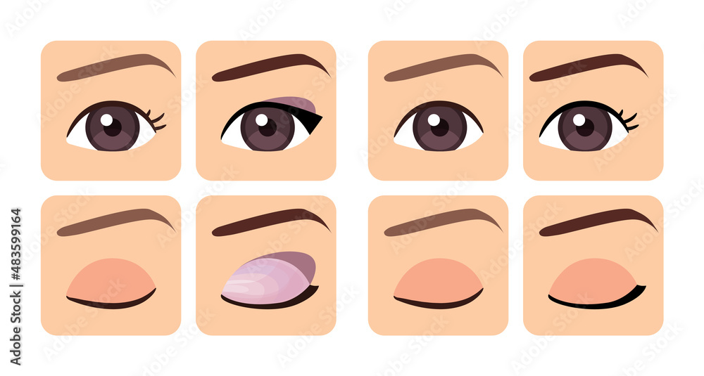 Eye and Eyebrow Make Up. Before After. Set of Icons. Open and Closed ...