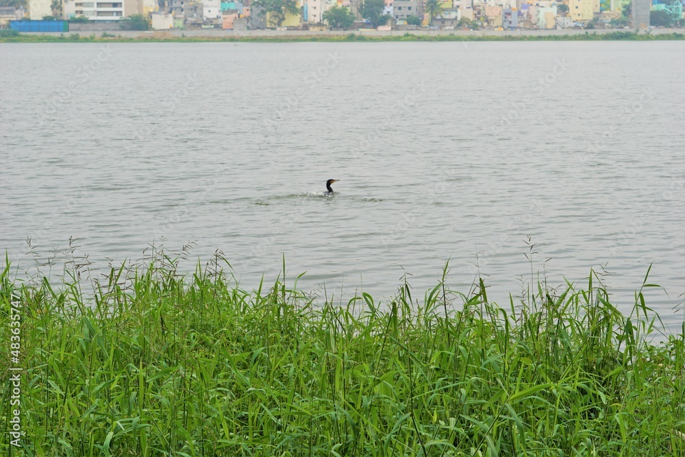 Beautiful Landscape photography from Bangalore Madiwala or BTM Layout ...