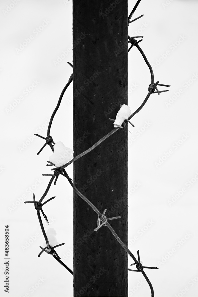 The rusty metal fence post is wrapped with barbed wire. Warning of ...