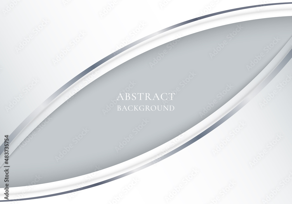 Template elegant 3D abstract white curved shape with gray line on grey ...