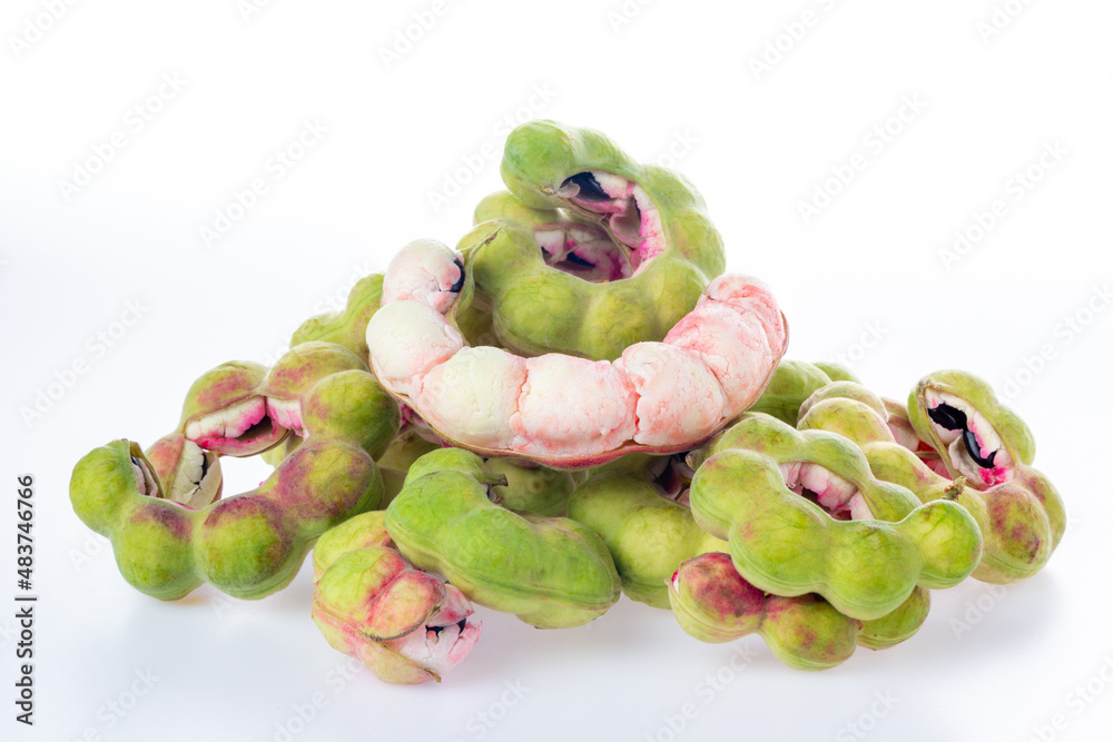 Manila tamarind fruit. Manila tamarind (Pithecellobium dulce) on white ...