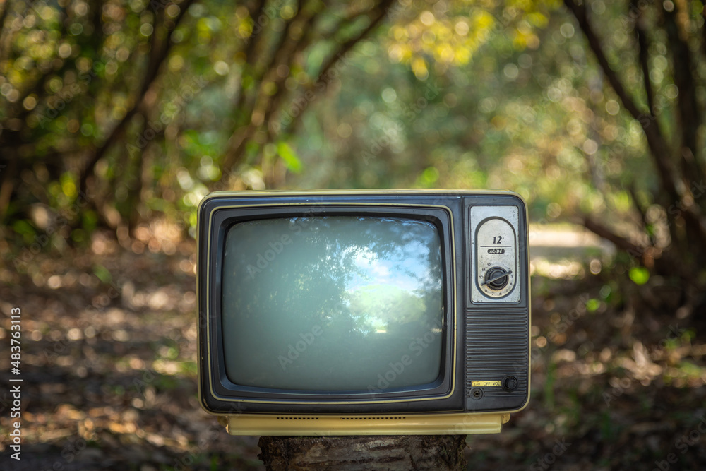 Yellow retro old-fashioned TV in forest background, outdoor Stock Photo ...