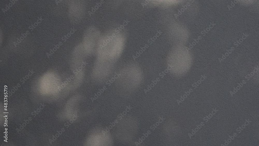 Abstract leaves gray shadow background with light bokeh, Abstract gray ...
