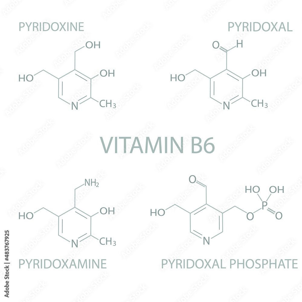 Vitamin B6 molecular skeletal chemical formula. Stock Vector | Adobe Stock