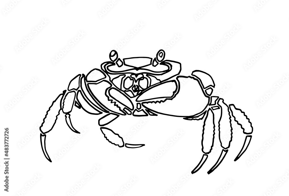 Graphical sketch of crab on white,lined drawing for coloring and design ...