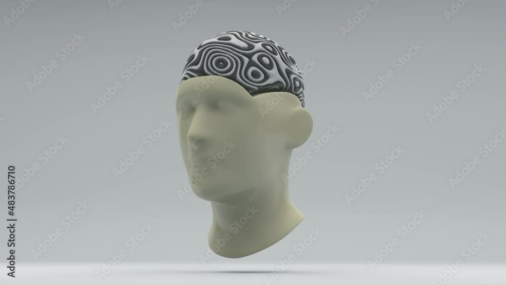 Loop 3d animation of the human head, the layout and likeness of the ...