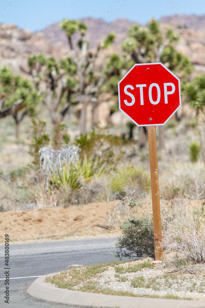 road intersection and red metal octagon is internationally recognized ...