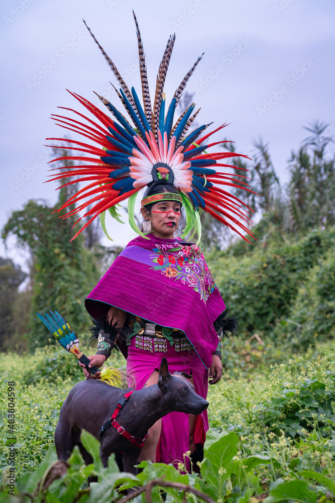 Aztec dancer and a Mexican dog known as Xoloitzcuintle in the field ...