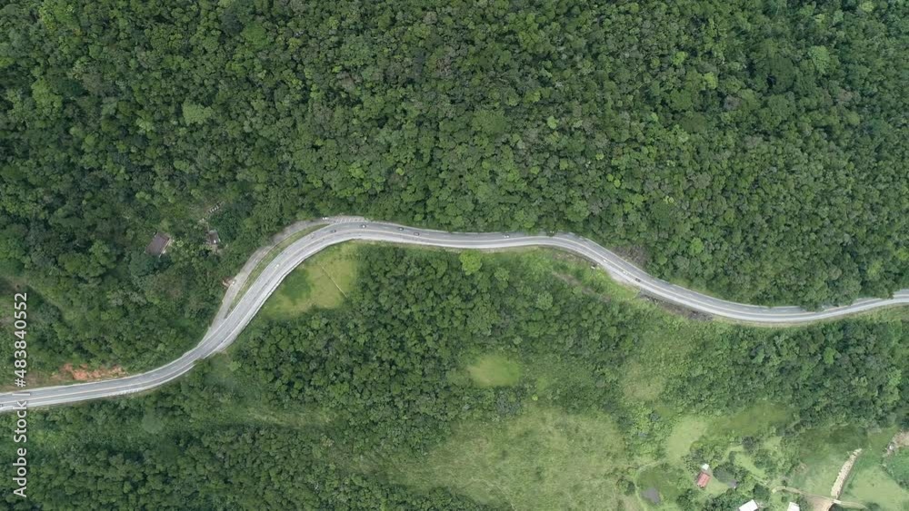 Panning wide of landmark highway road at green forest trees and ...