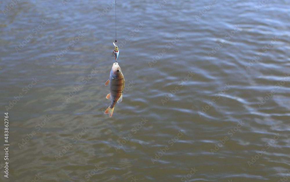 Fishing in the delta of the Volga River on the river Baklanya. The ...