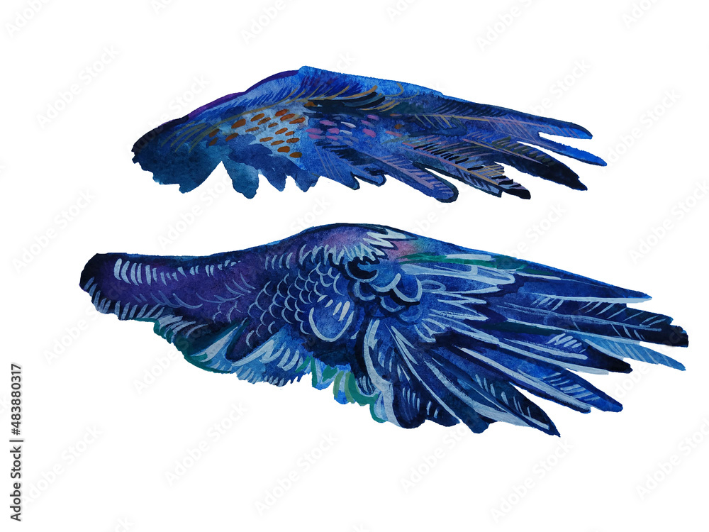 Watercolor drawing angel wings. Set of clipart bird wing in different ...