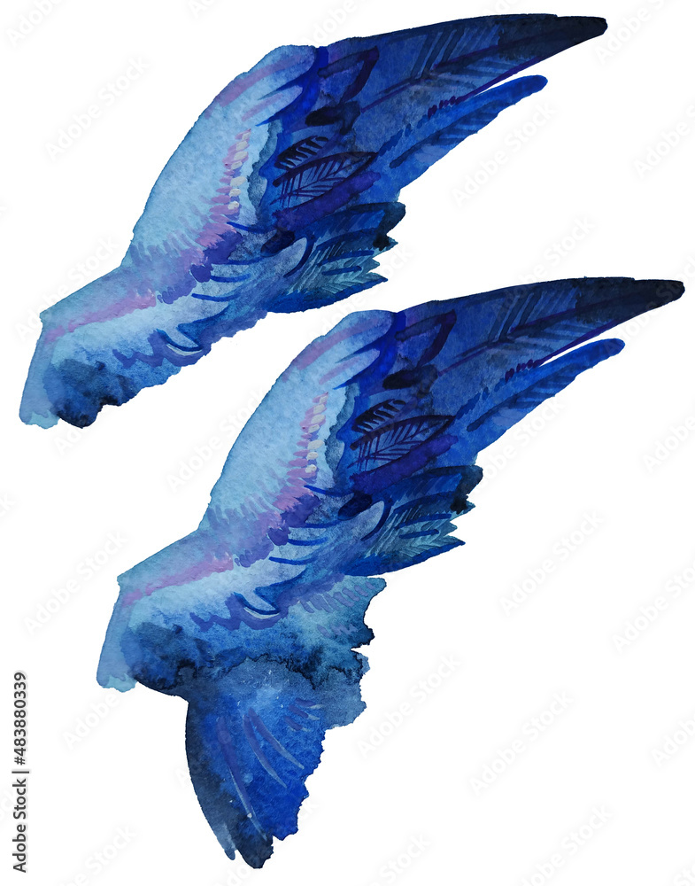Watercolor drawing angel wings. Set of clipart bird wing in different ...