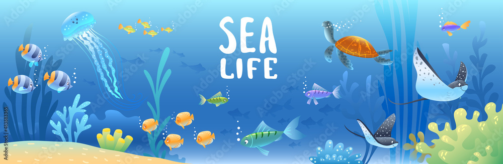 Sea life Stock Vector | Adobe Stock