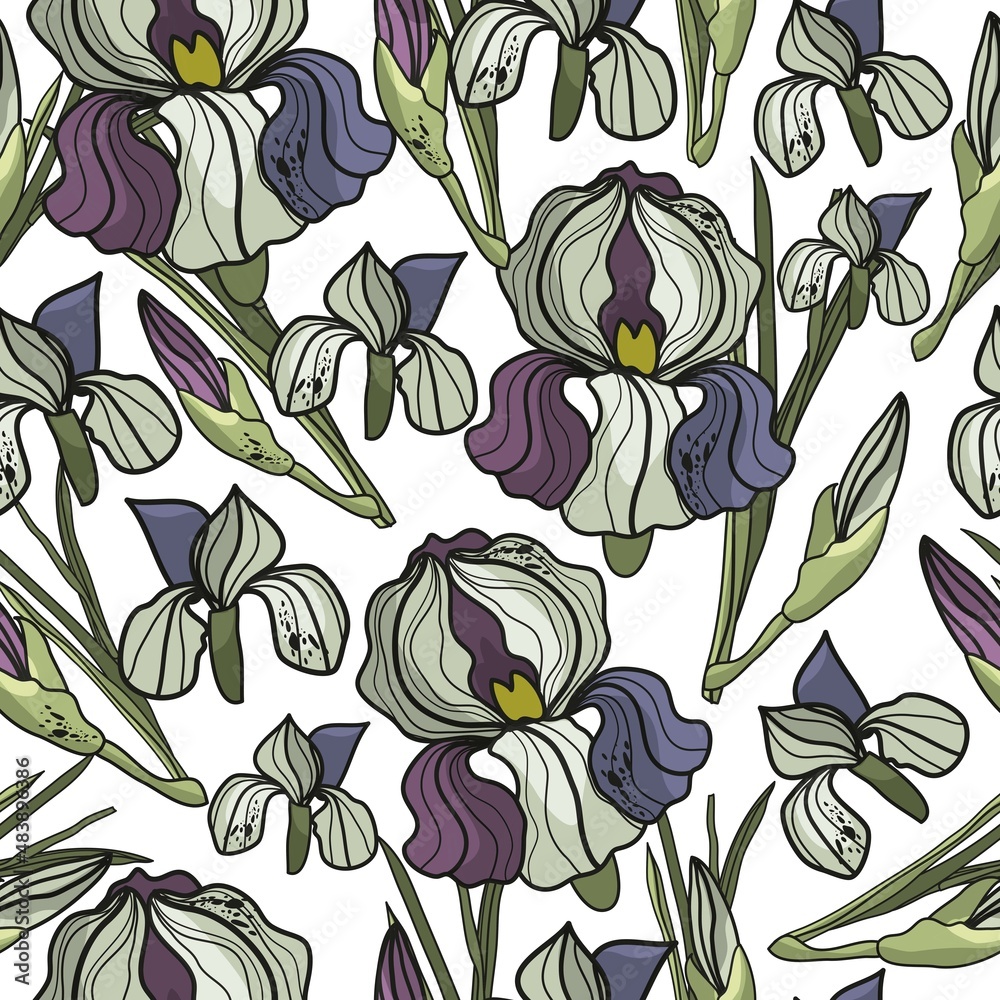 Seamless iris pattern. Botanical, vector, linear illustration. Natural ...