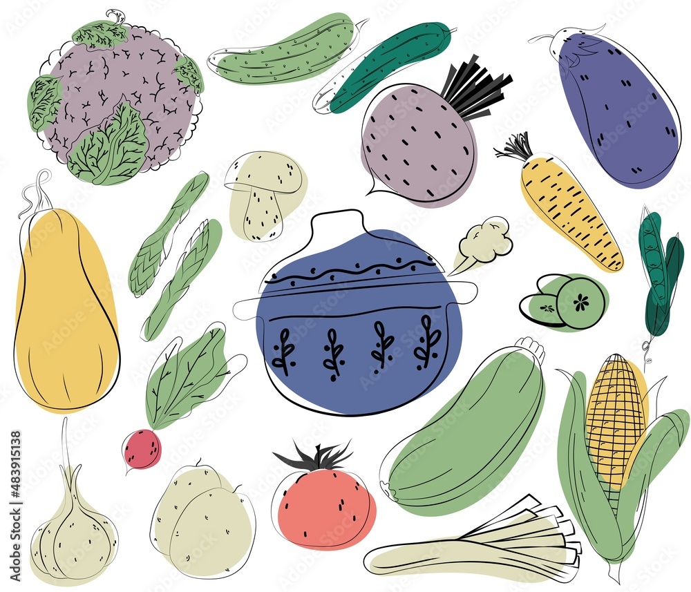 Colorful Vegetable Set With Pot. Collection vector illustration food ...