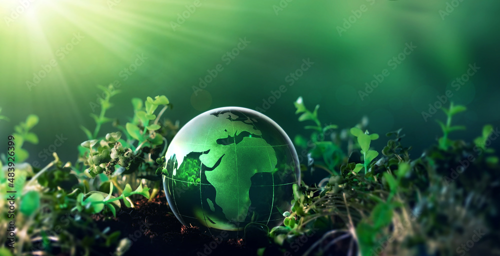 Planet Earth from crystal on green sunny background. Environmental and ...