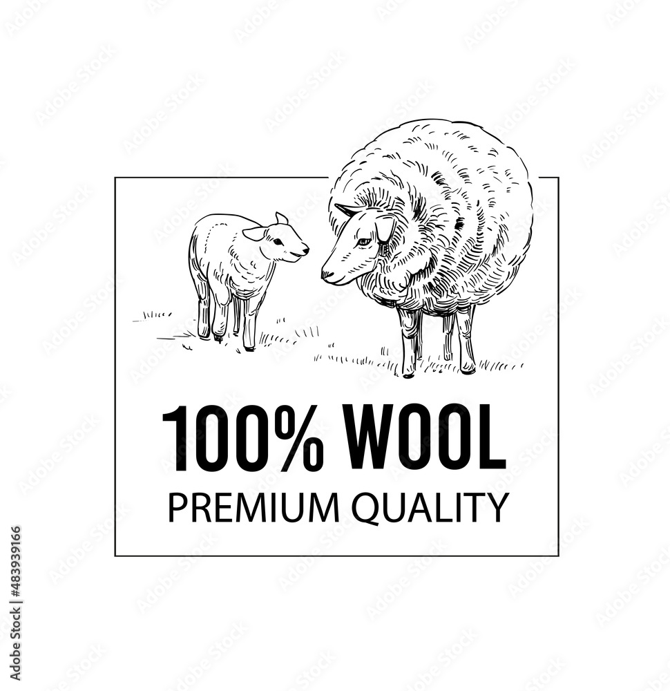 Sheep. Vector illustration. Black outline on a transparent background ...