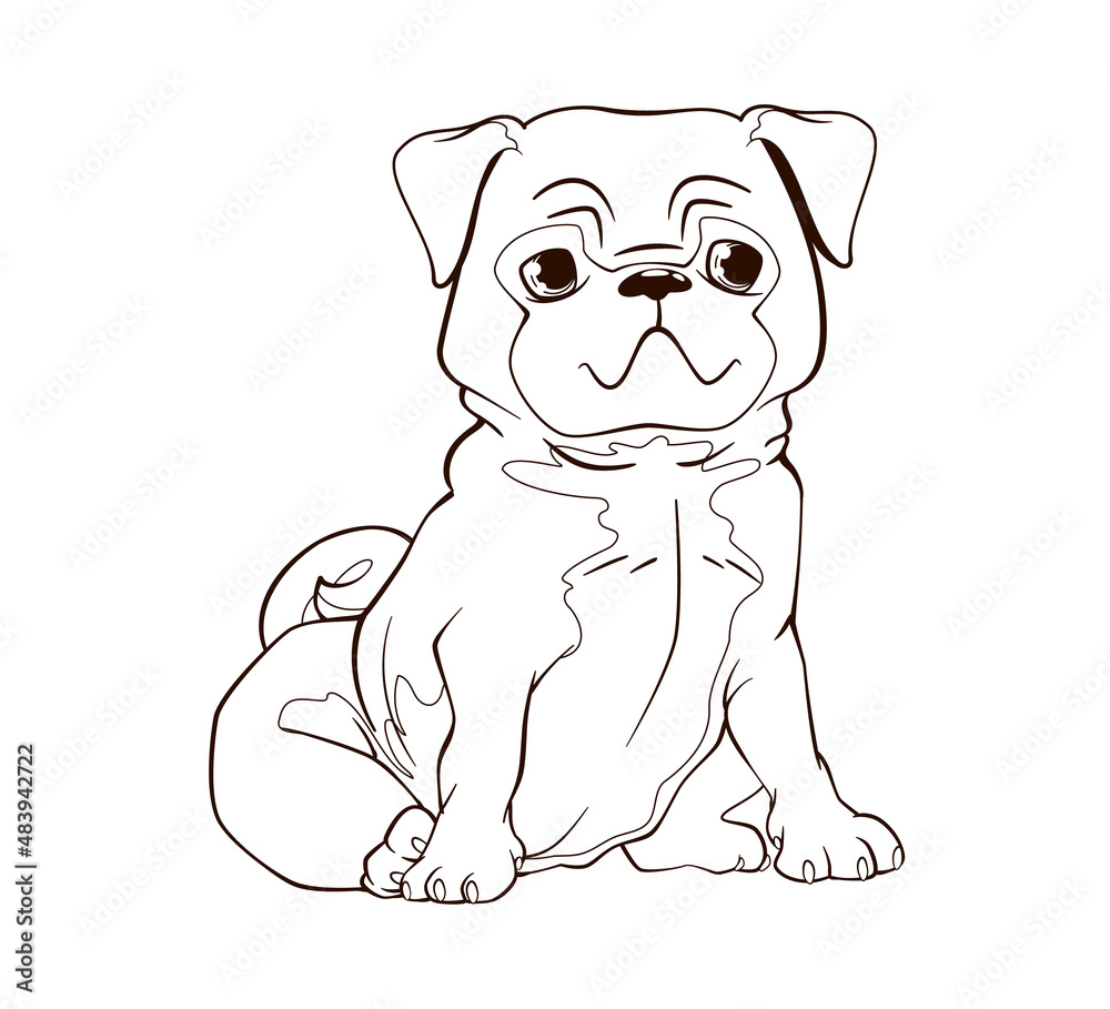 Coloring book Little funny pug puppy with floppy ears sits on its hind ...