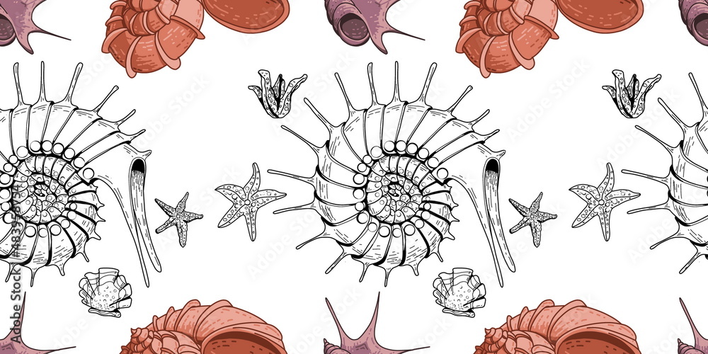 Seamless pattern of colored and graphics seashells. Set of seashells ...