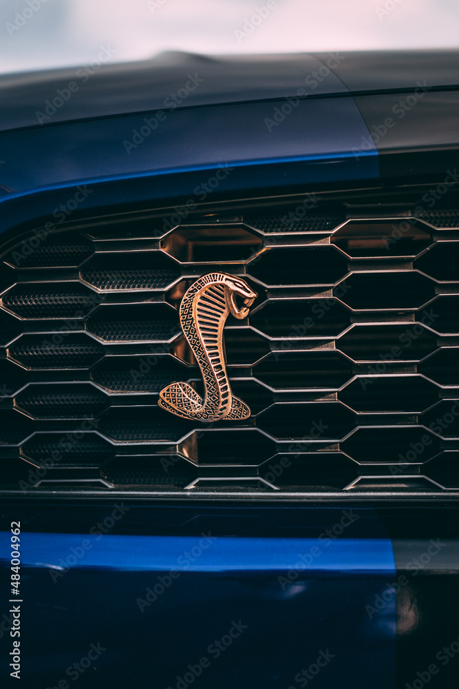 logo of Ford Mustang Cobra Stock Photo | Adobe Stock