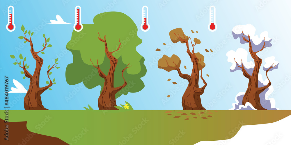 Nature and flora season cycle infographic of tree growth, vector ...