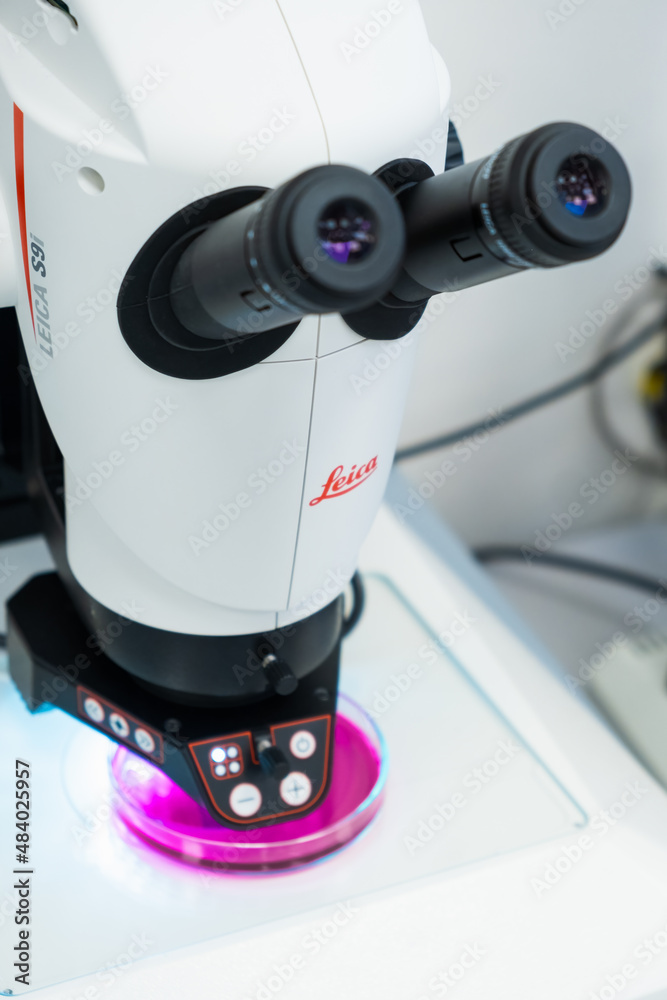 Leica Microscope for DNA analysis or small objects and cells ...