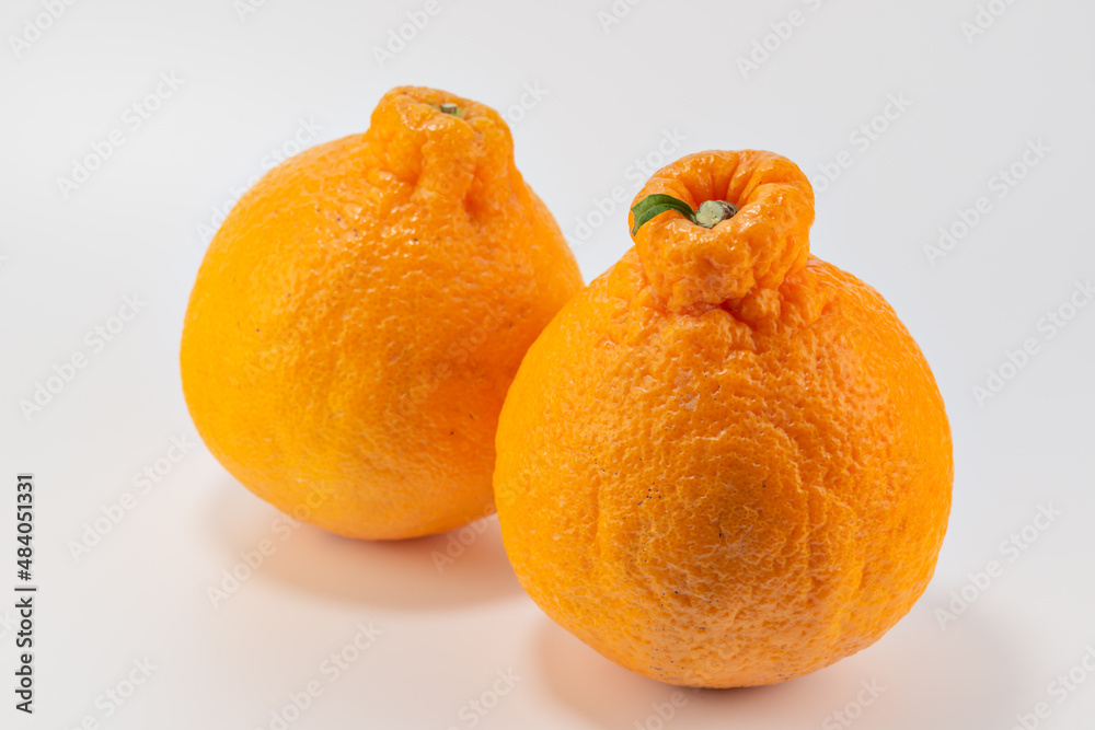 Sumo mandarin (Citrus reticulata 'Shiranui') produced in Japan Stock ...