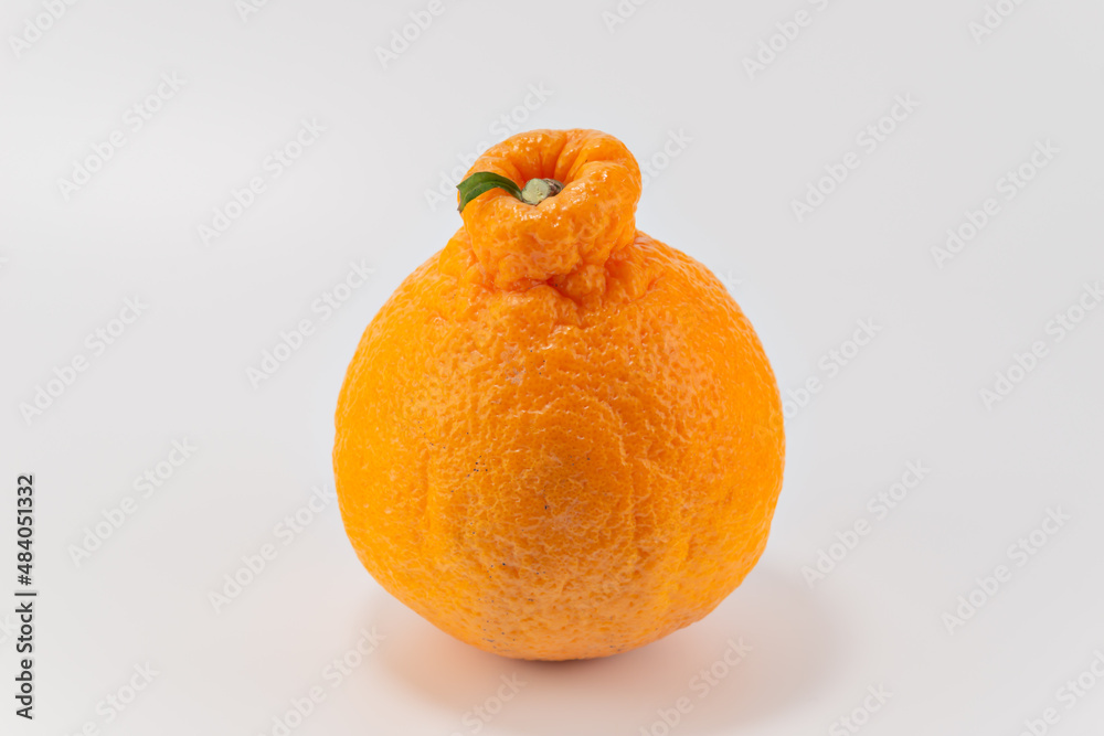 Sumo mandarin (Citrus reticulata 'Shiranui') produced in Japan Stock ...