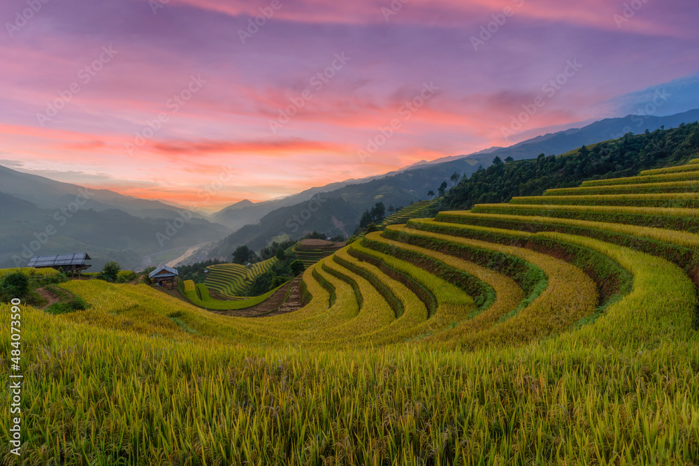 Green terraced rice fields in the rainy season at Mù Cang Chai, Vietnam ...