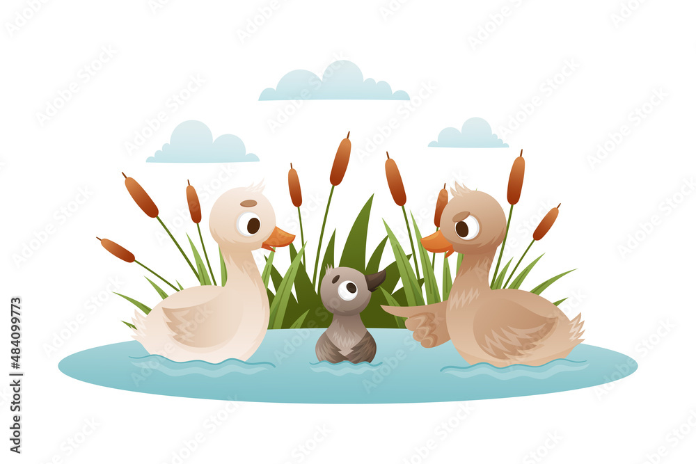 Geese swim in pond. Ugly duckling fairy tale cartoon vector ...