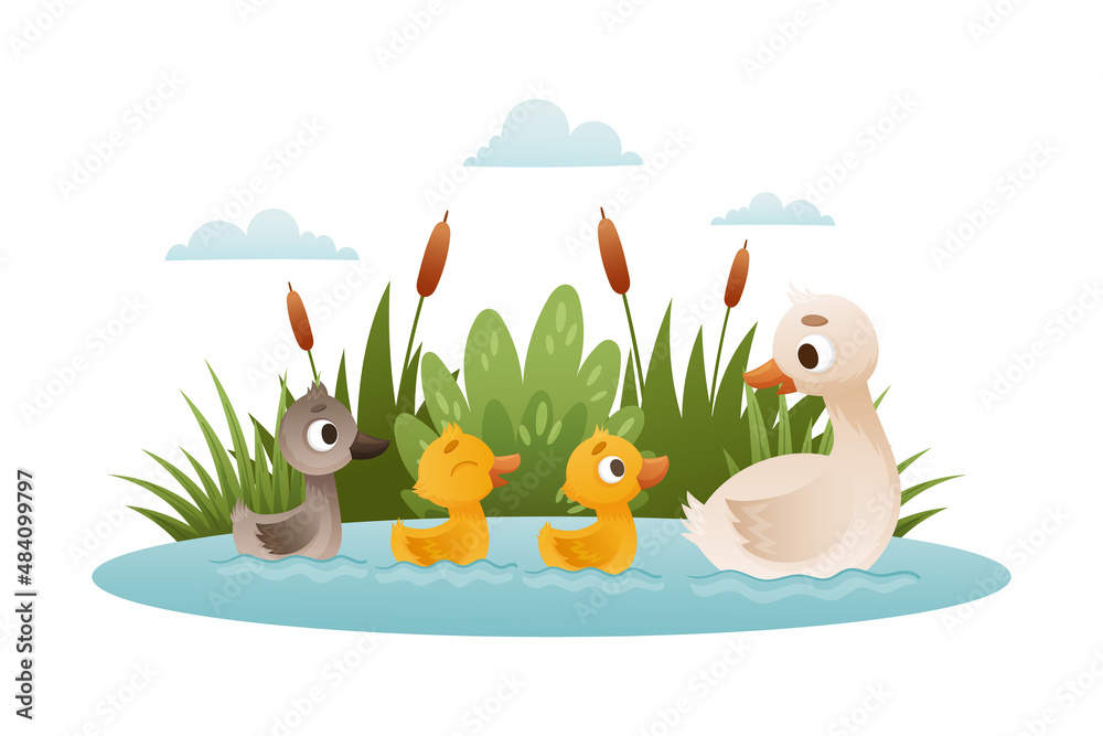 Goose family. Mom floating with her babyies. Ugly duckling fairy tale ...
