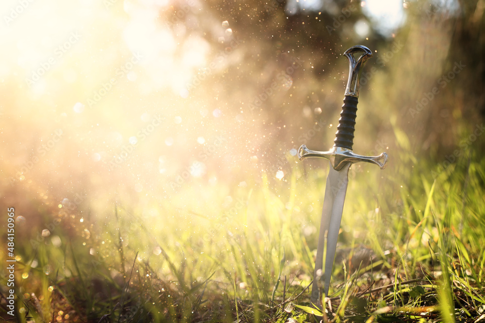 mysterious and magical photo of silver sword in the England woods and ...