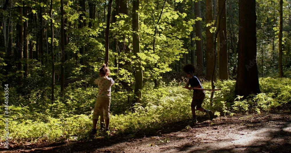 Bright sunlight shining through the trees. Kids play in the forest ...
