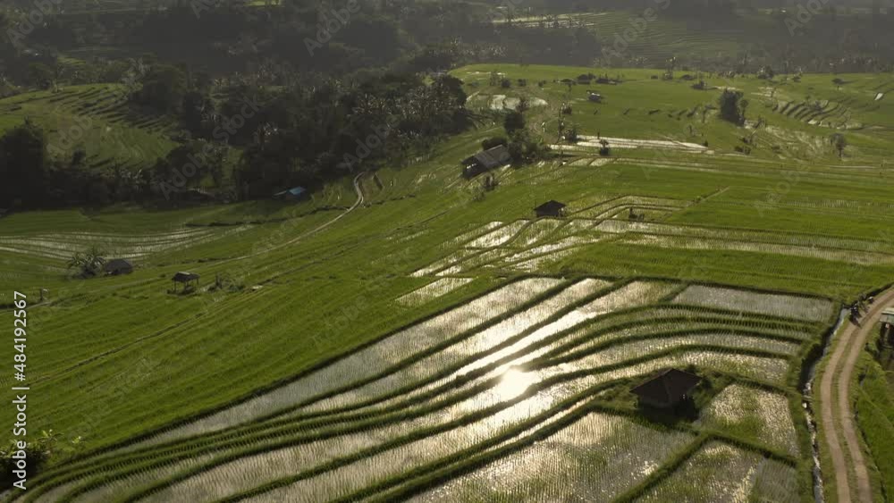 Rice terraces from drone camera. Rice fields with water-filled rice ...